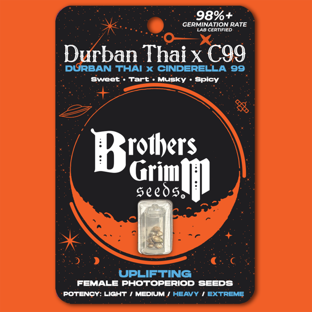 Cinderella Purple Seeds | Cinderella Purple by Brothers Grimm