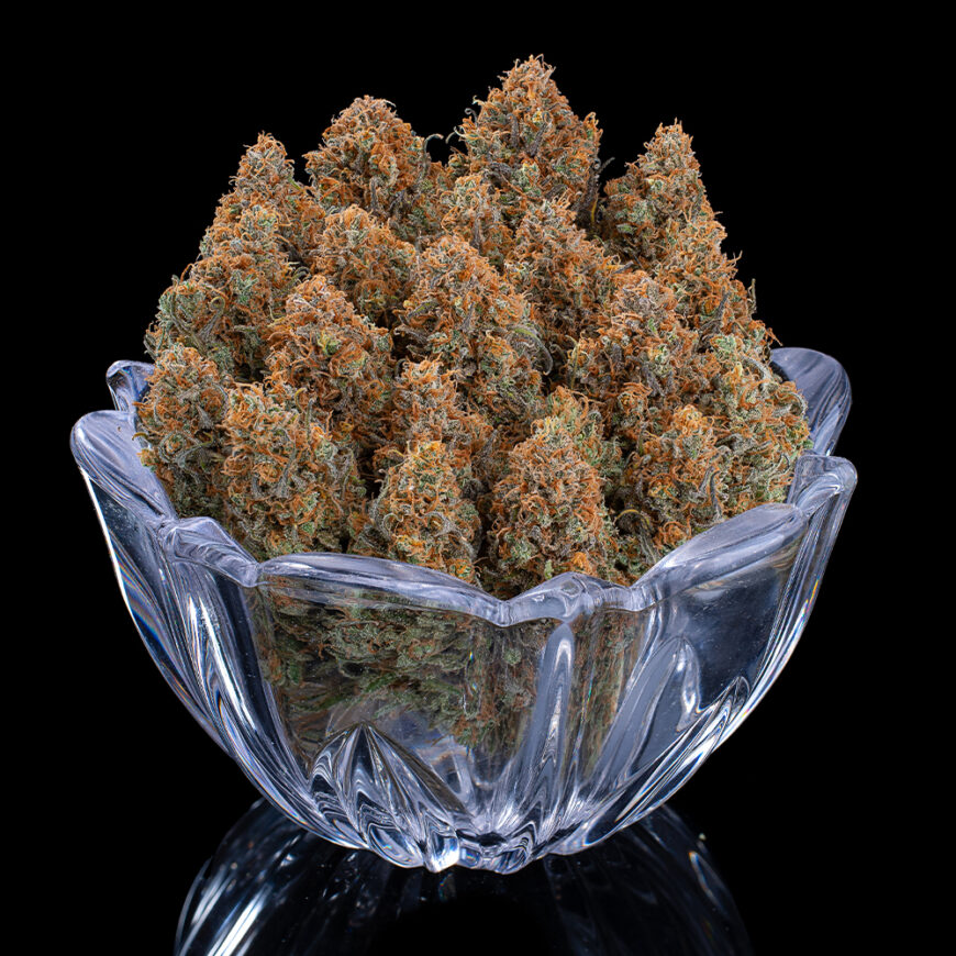 Cinderella Purple Seeds | Cinderella Purple by Brothers Grimm