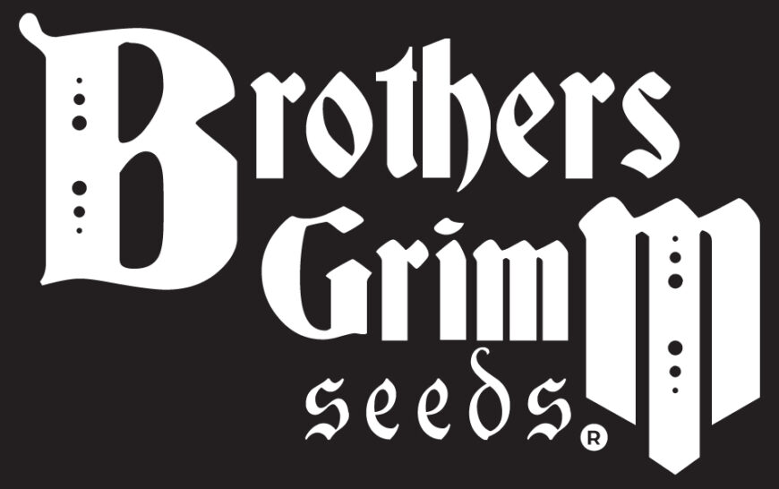 Buy Discounted Cannabis Seeds | BOGO Deals & Clearance Sales
